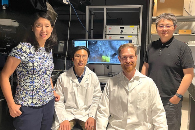 Flexible nanoelectrodes can “pave the way” for higher-resolution ...