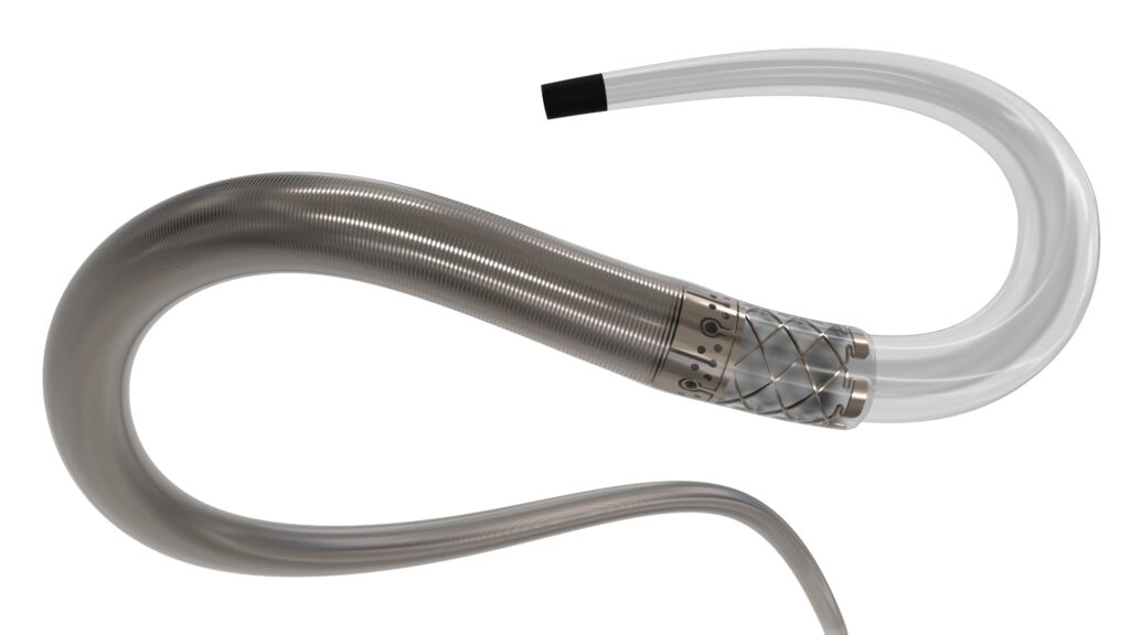 Hippo-Cheetah combination: a whole new animal in aspiration thrombectomy