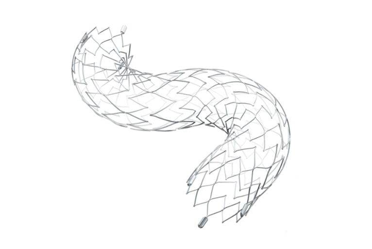 Stryker gains US FDA premarket approval for Neuroform Atlas stent system