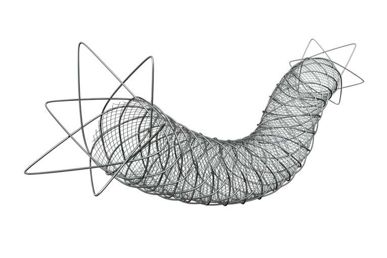 Terumo announces commercial availability of Roadsaver carotid stent system